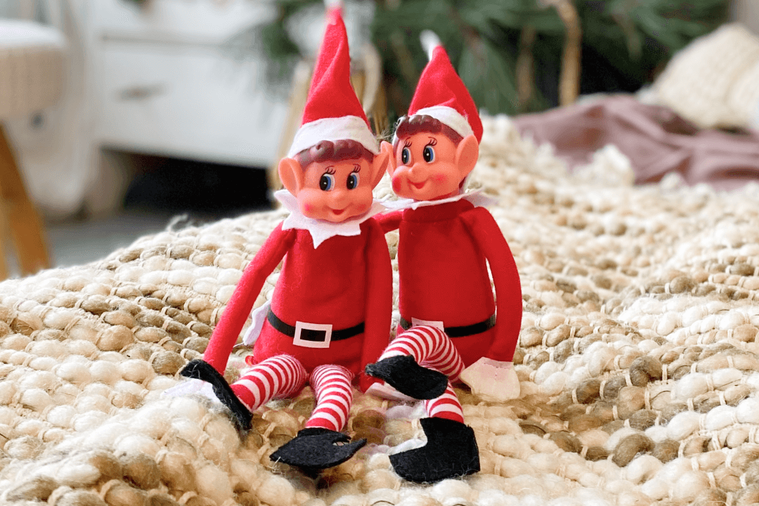 10 įdomių faktų apie Elfus – Elfas Namuose