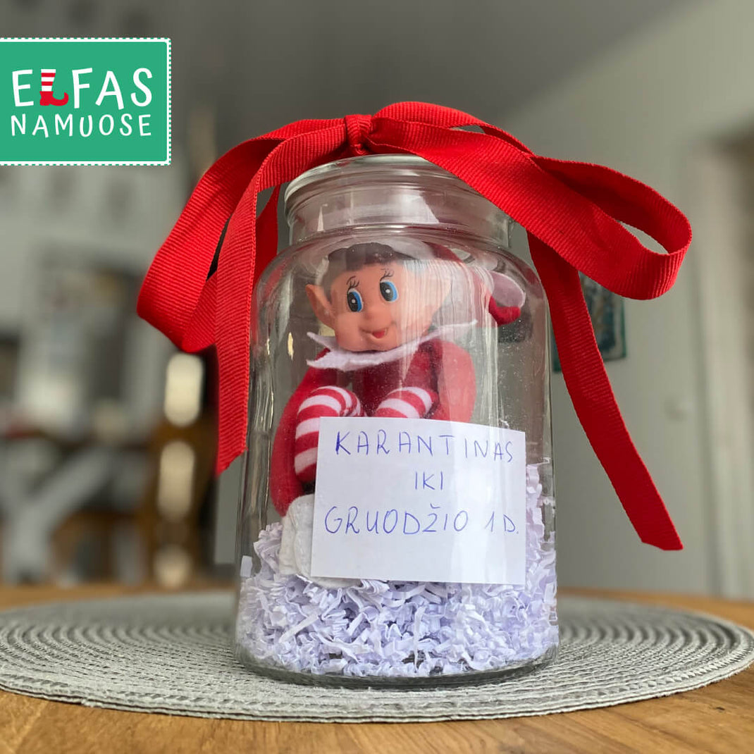 Elfų išdaigos – Elfas Namuose