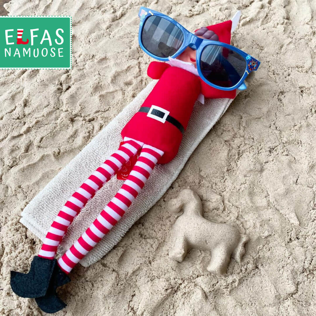 Elfų išdaigos – Elfas Namuose