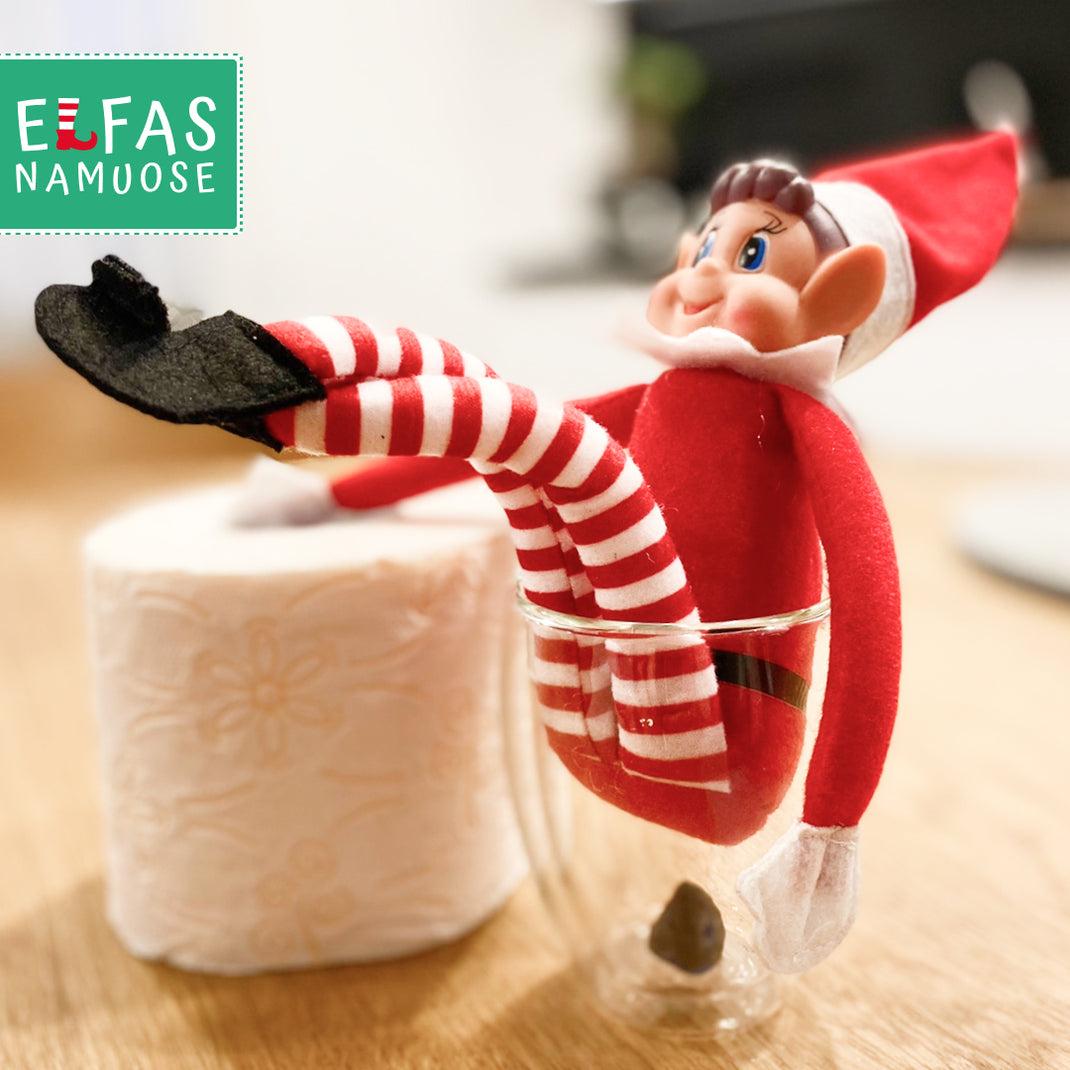 Elfų išdaigos – Elfas Namuose